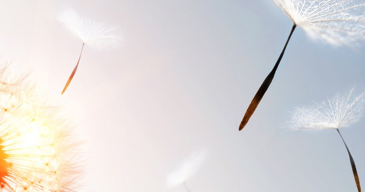 Erbschaften & Legate | arwo Stiftung